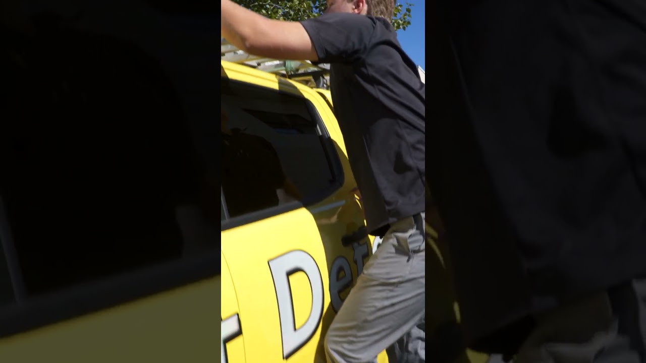 Pest Detective Pest Control