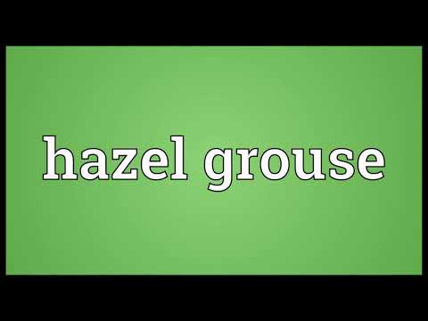 Hazel grouse Meaning
