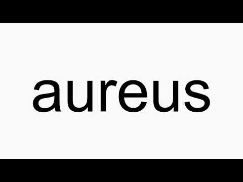 How to pronounce aureus