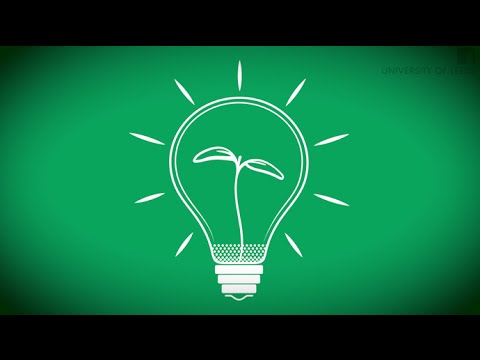 Starting a Business 1: Vision and Opportunity - free online course at FutureLearn.com