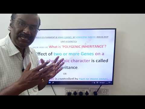 180: POLYGENIC INHERITANCE-Definition:VSQ: Second Year: Unit-6: GENETICS.