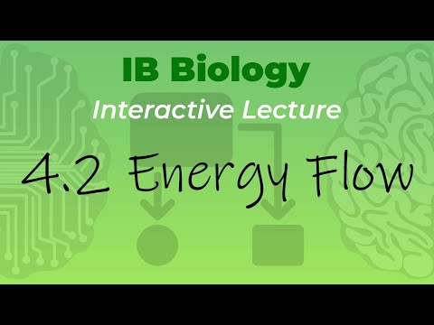 Mr. Leonard's IB Biology Video Course - 4.2 Energy Flow (student handout in description)