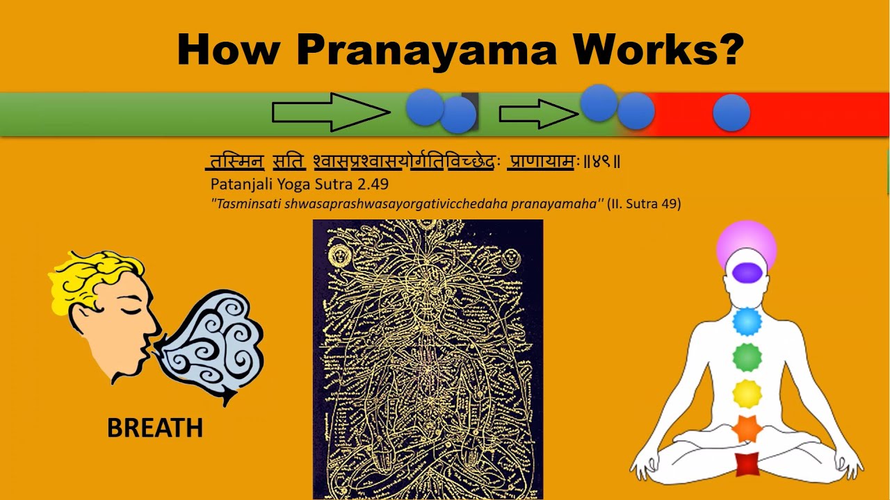 Pranayama – Unlock the Art of Yoga Breathing