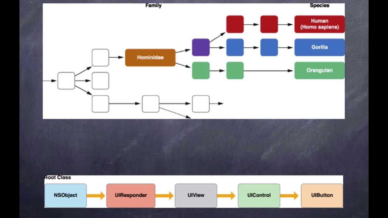 Objective C Tutorials  |  Object Oriented Programming