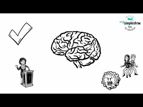 Structuralism vs. Functionalism