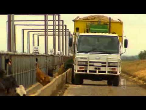 AA Co halts share trading on export halt