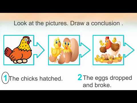Drawing Conclusions Review