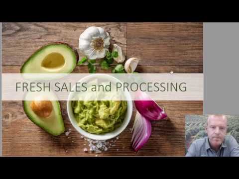 Webinar - African Avocado Industry Overview