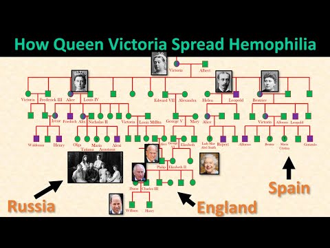 Family Tree: How Queen Victoria Spread Hemophilia into European Royalty (& Their Tragic Deaths)