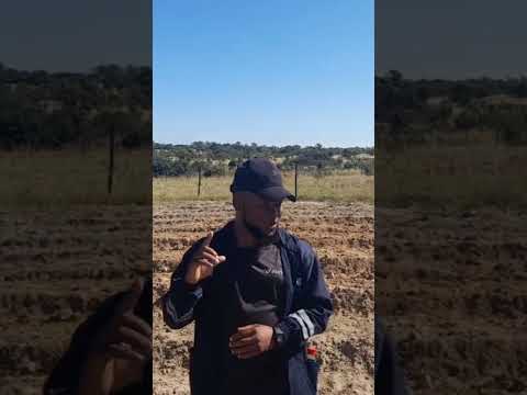 Why it is Important to consider Time & Season for Farming Success? #biashara #zimbabwe