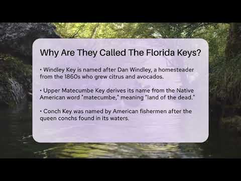 Why Are They Called The Florida Keys? - Southern Culture Collective