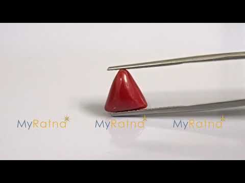 Certified Natural Red Coral 4.49 Ct (Italy) - Prime ( Call +91 9784933600)