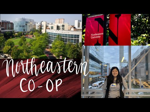 Spilling the Tea about Northeastern's Co-op program