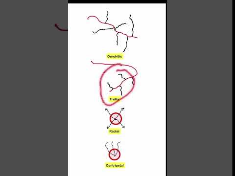 Dendritic vs Trellis vs Centripetal vs radial Drainage Pattern #shorts #geography
