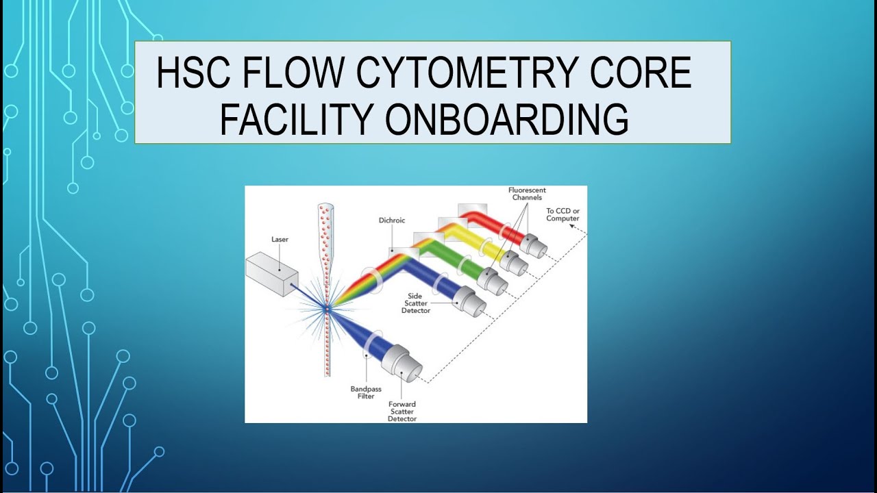 Flow Cytometry Onboarding