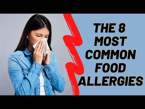 The 8 Most Common Food Allergies I What Is a Food Allergy