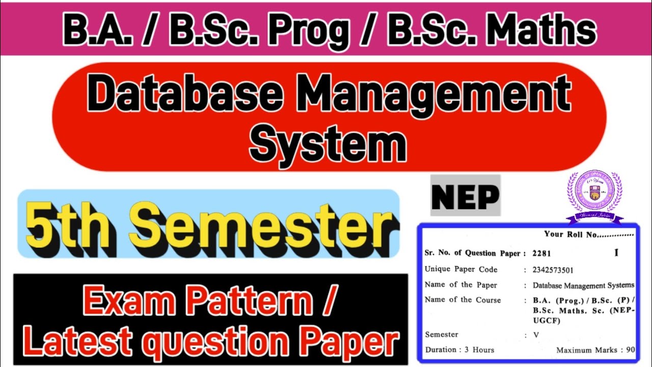 Database management system ba / bsc prog Mathmatics previous year question paper du 