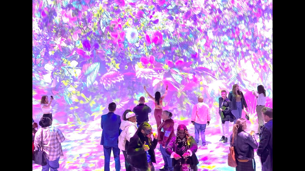 Blooming Wonders: An Immersive Cherry Blossom Experience