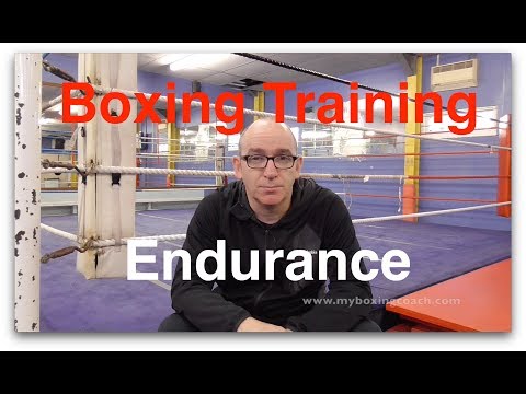 Endurance in Boxing Training