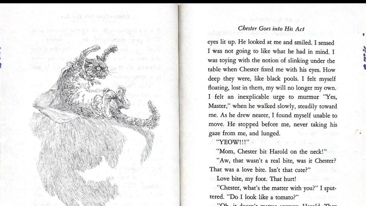 Bunnicula 5