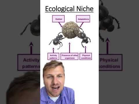 Ecological Niche
