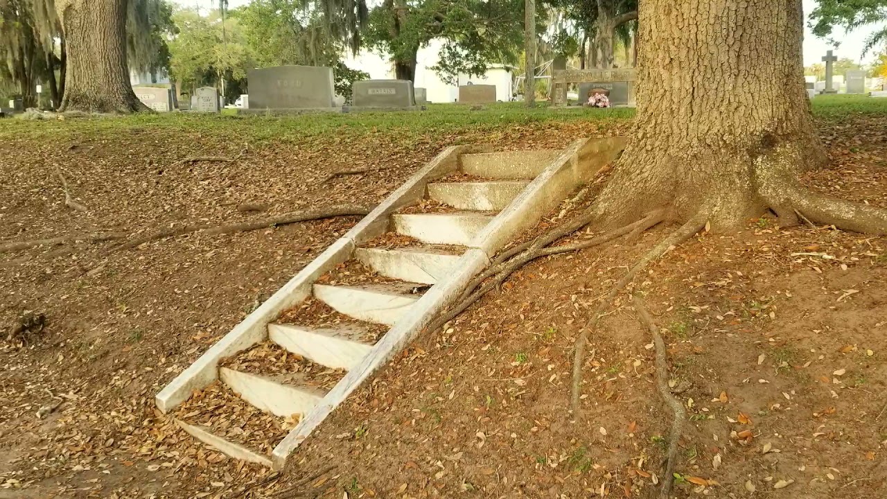 A Cemetery Stroll with Pepito