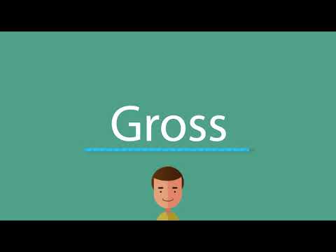 How to say Gross