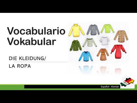 die Kleidung/ la ropa