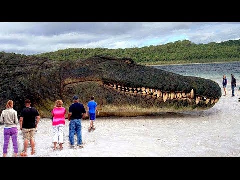 50 SCARIEST Animals In The World