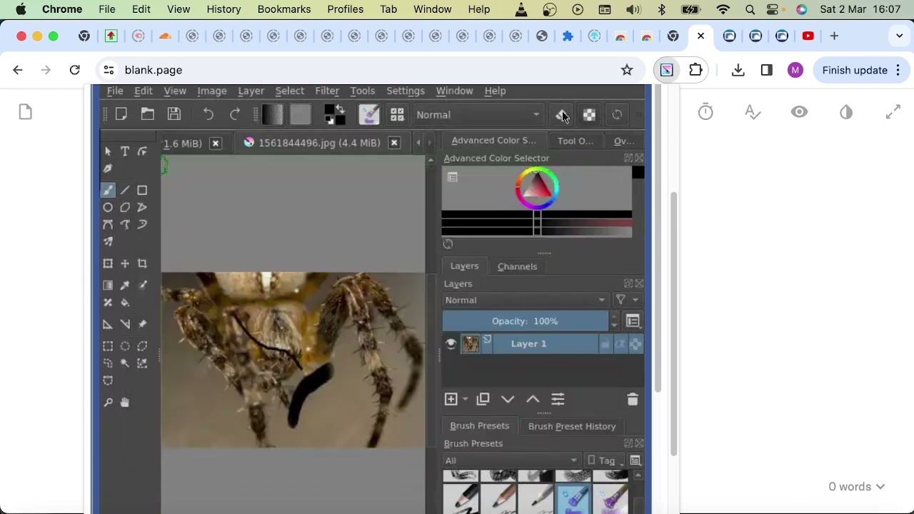 krita online graphic editor