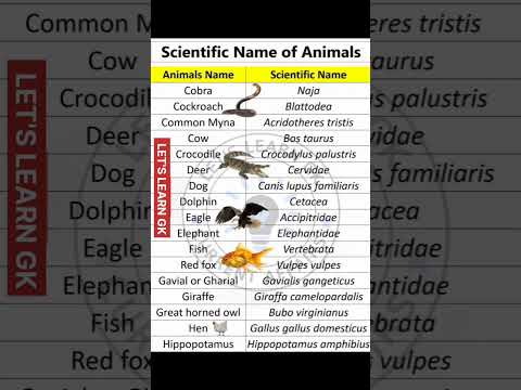Scientific Names of Animals ~ #shorts