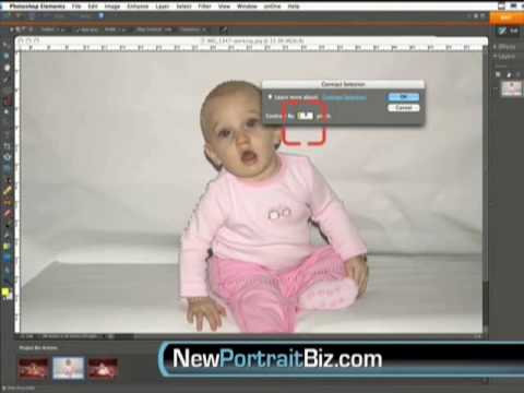 Digital Photography Tip: How To Remove A Background In Photoshop Elements