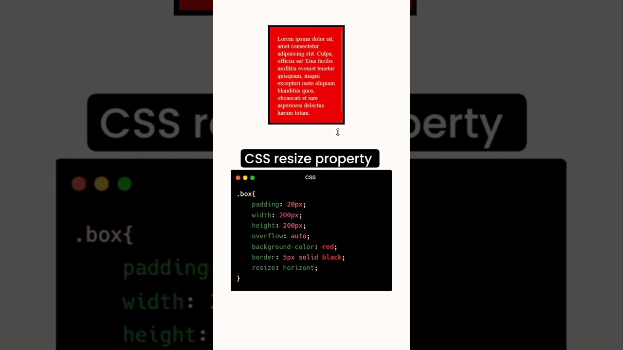CSS resize property #css #property
