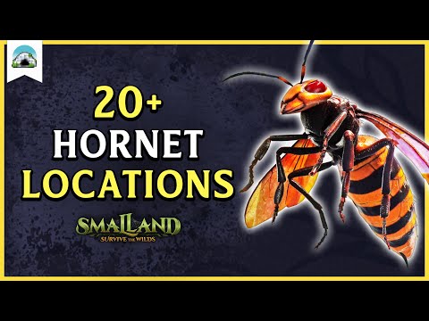 Steam Community :: Video :: 20+ Hornet Locations – Where to find ...