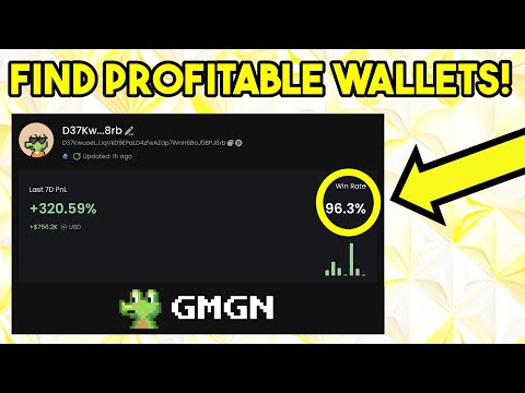 The EASIEST Way To Find Crypto WHALE Wallets Copy Trade Or Track GmGn AI