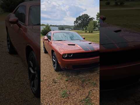 Why Buy a V6?