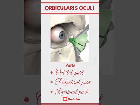 Orbicularis Oculi part - I