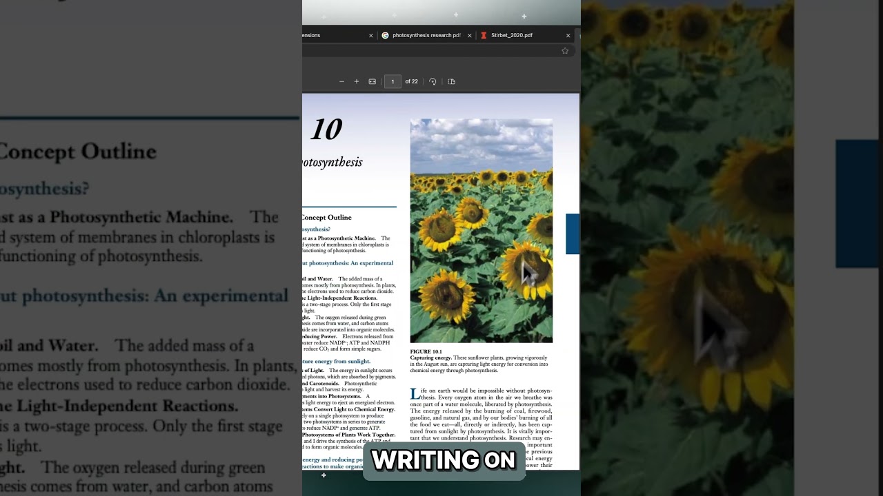 Simplify Research with PDF.AI: Organize and Summarize PDFs Instantly