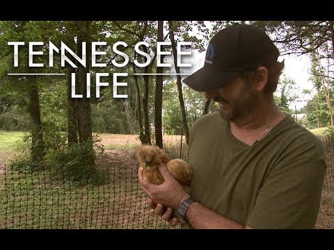 Farming in the City | Tennessee Life | Season 5 Episode 4