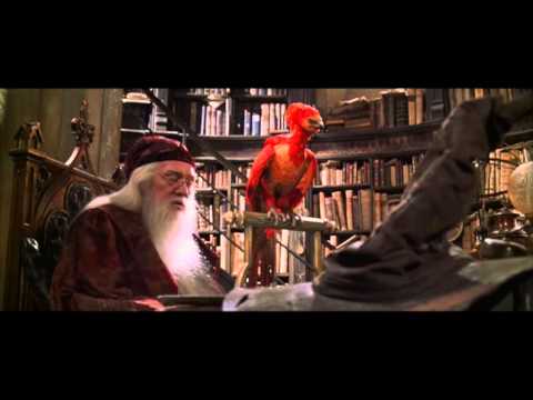 Awesome Mentors from Films