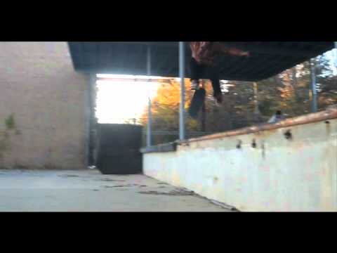 Riot''wild life-part 2''
