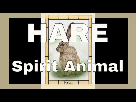 Hare Spirit Animal, Hare Spirit Guide, Spiritual Meaning of the Hare