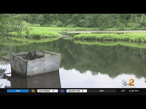 N.J. sues Ford over hazardous waste dumping on Native American land