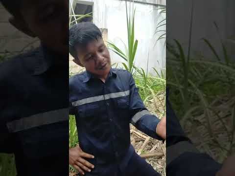 Tanah Lempung Kaku yg Lengket di Konus