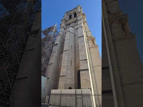 Walking Around Notre Dame de St. Michel in Paris