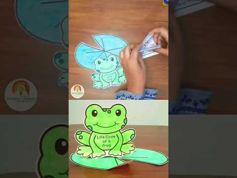 #lifecycle #lifecycles #froglife #springcrafts #kindergarten #sciencecraft #kindergartenactivities