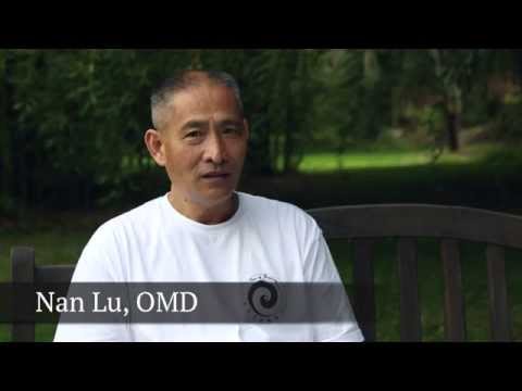 Qi, Your Life Force