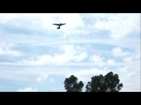 Robotic Seagull Drone | Understanding Empire: Technology, Power, Politics