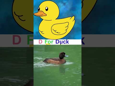 Words Starting with D | D letter words