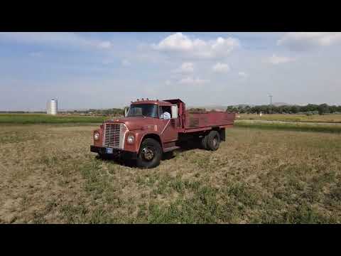 1971 IH Loadstar 1600 Farm Truck (2nd owner) - Musser Bros. Inc.